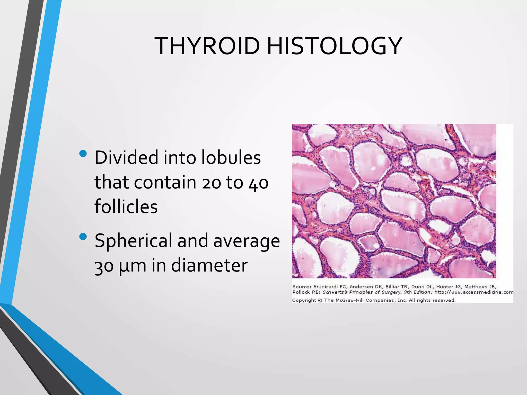THYROID, PARATHYROID, & ADRENAL GLANDS.pptx