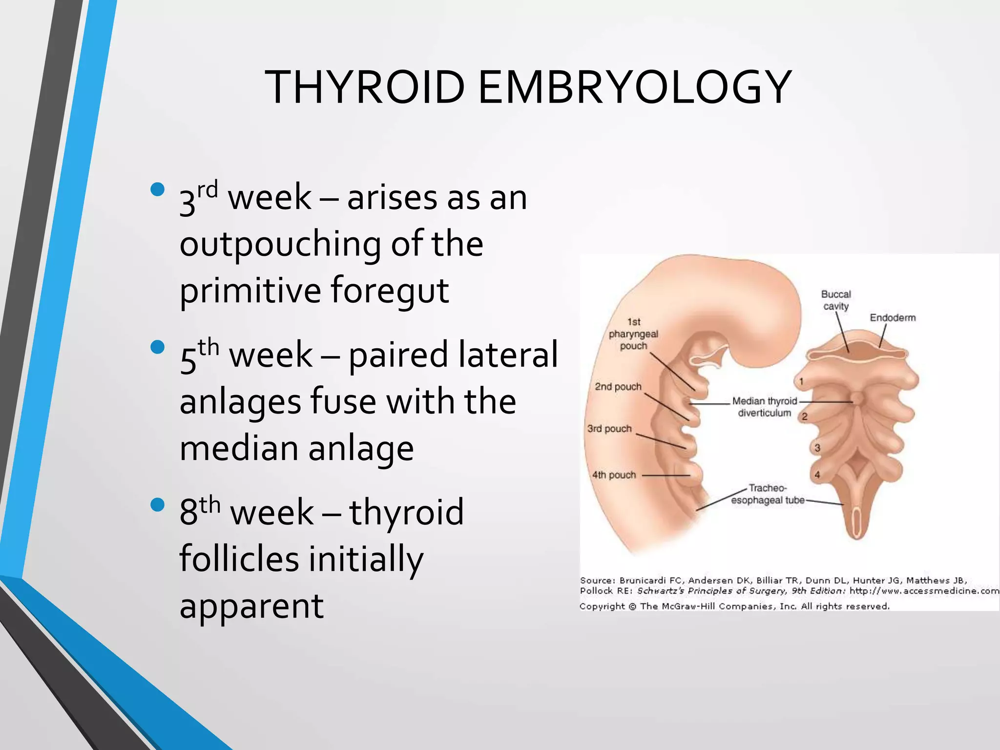 THYROID, PARATHYROID, & ADRENAL GLANDS.pptx