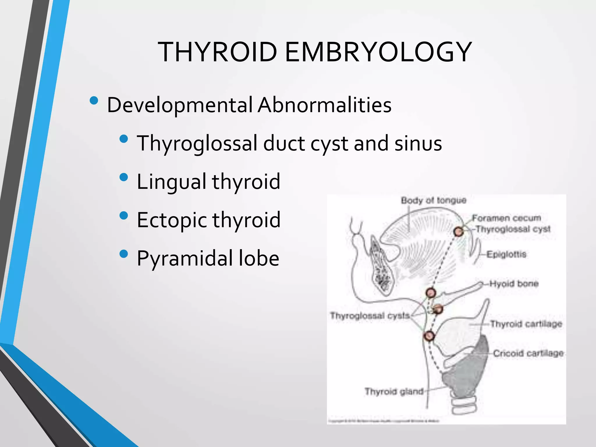 THYROID, PARATHYROID, & ADRENAL GLANDS.pptx