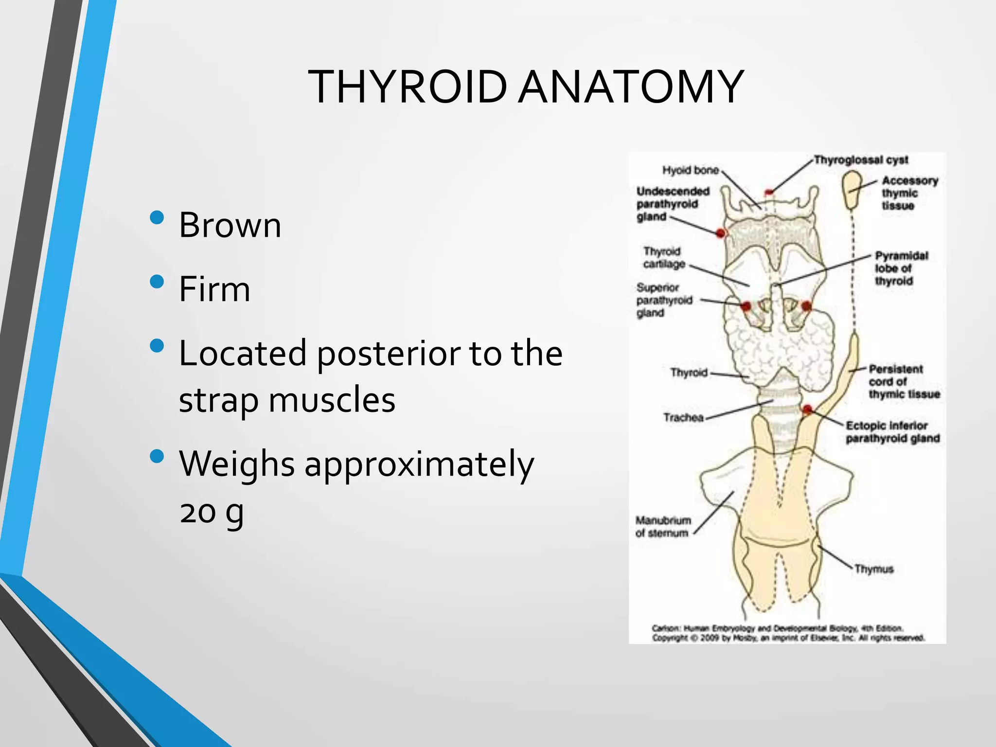 THYROID, PARATHYROID, & ADRENAL GLANDS.pptx
