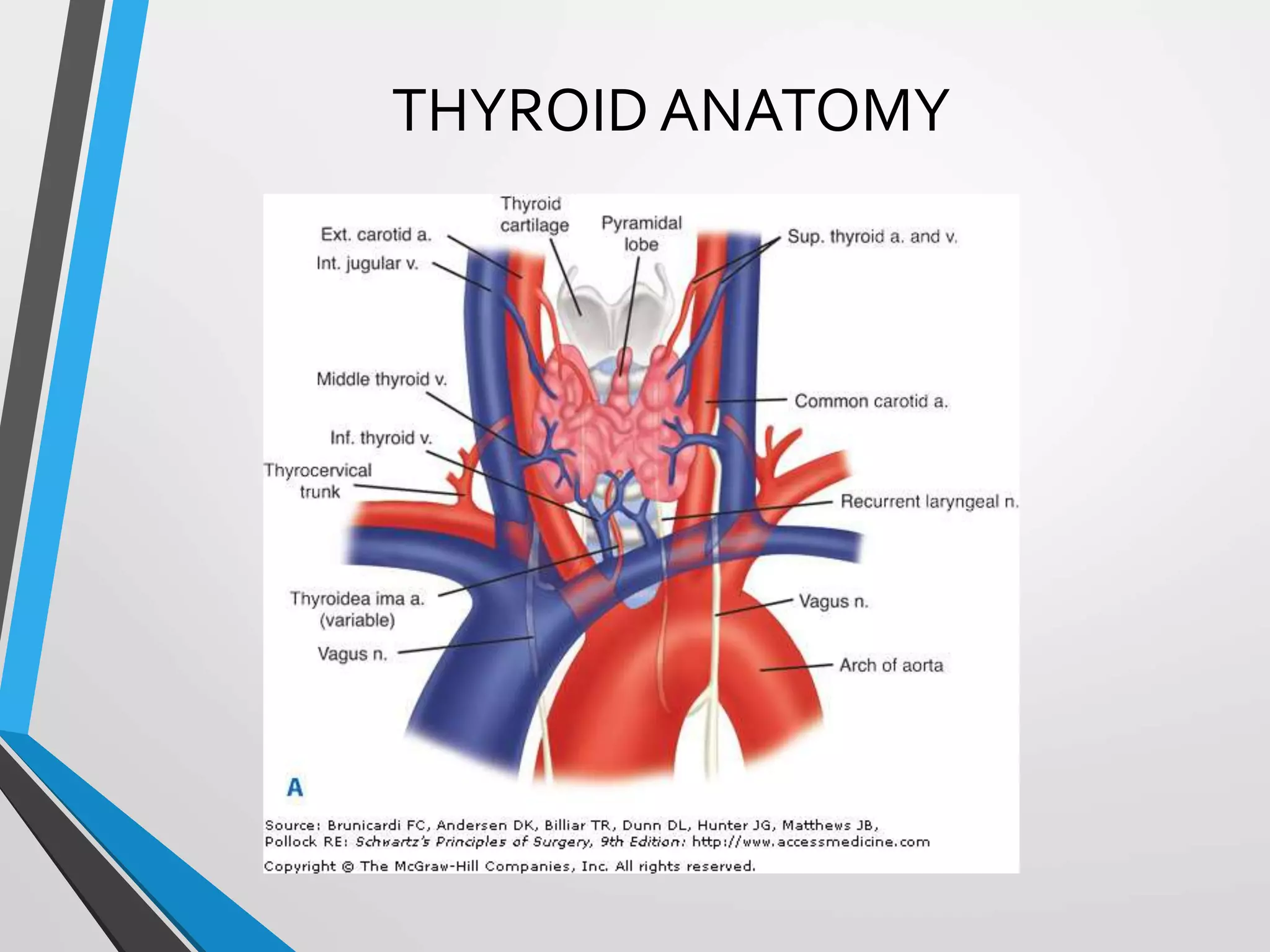 THYROID, PARATHYROID, & ADRENAL GLANDS.pptx