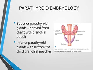 THYROID, PARATHYROID, & ADRENAL GLANDS.pptx
