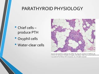 THYROID, PARATHYROID, & ADRENAL GLANDS.pptx