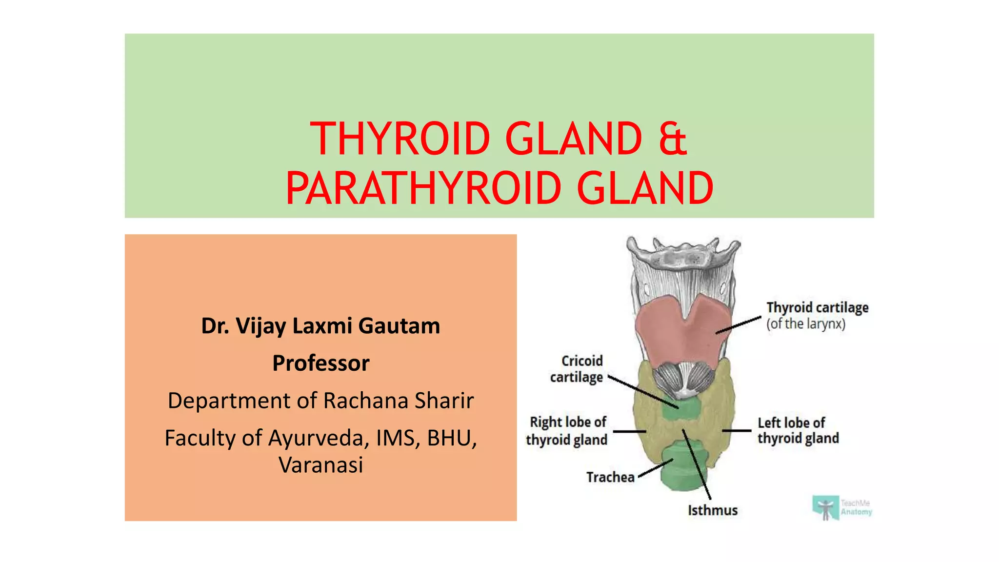 Thyroid & Parathyroid gland-BAMS.pptx