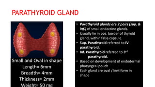 Thyroid & Parathyroid gland-BAMS.pptx