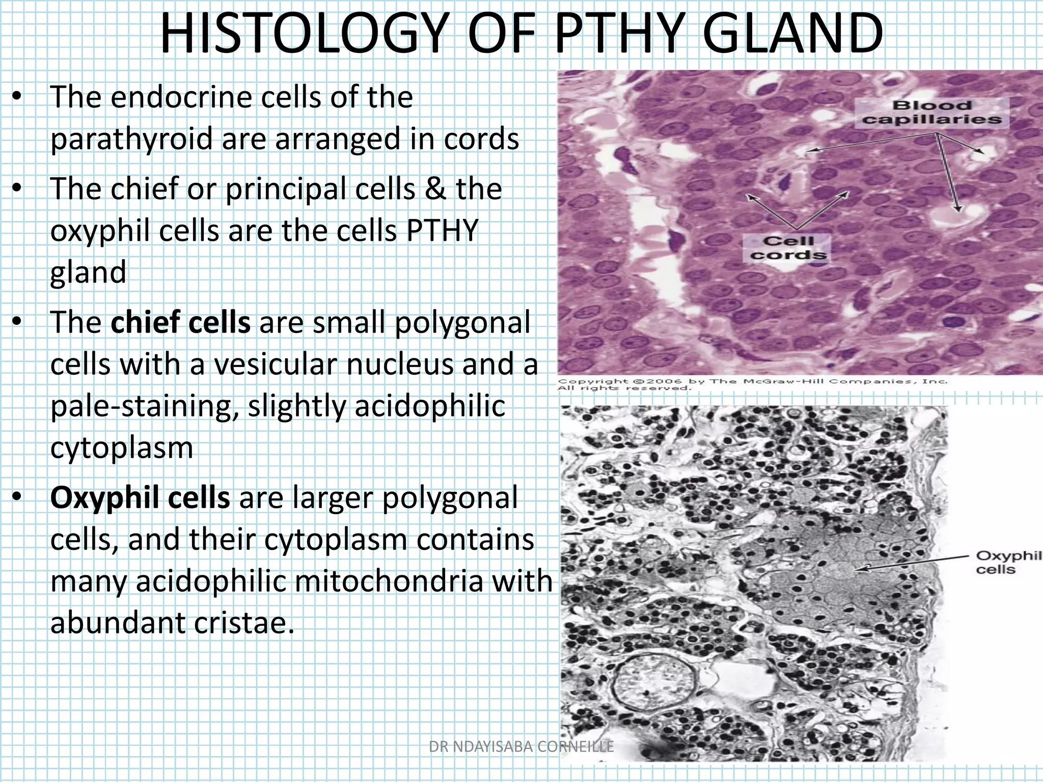 THYROID&PARATHYROID_GLAND.pdf