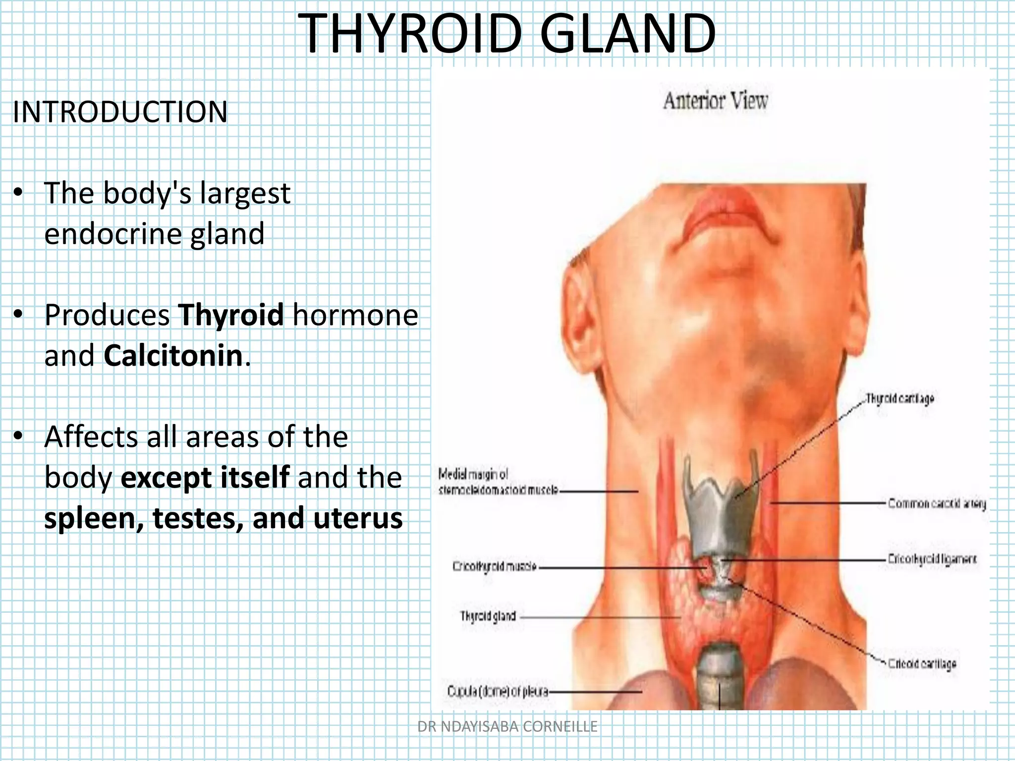 THYROID&PARATHYROID_GLAND.pdf