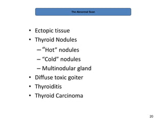 Thyroid pathophysiology scintigraphy[1] | PPTX