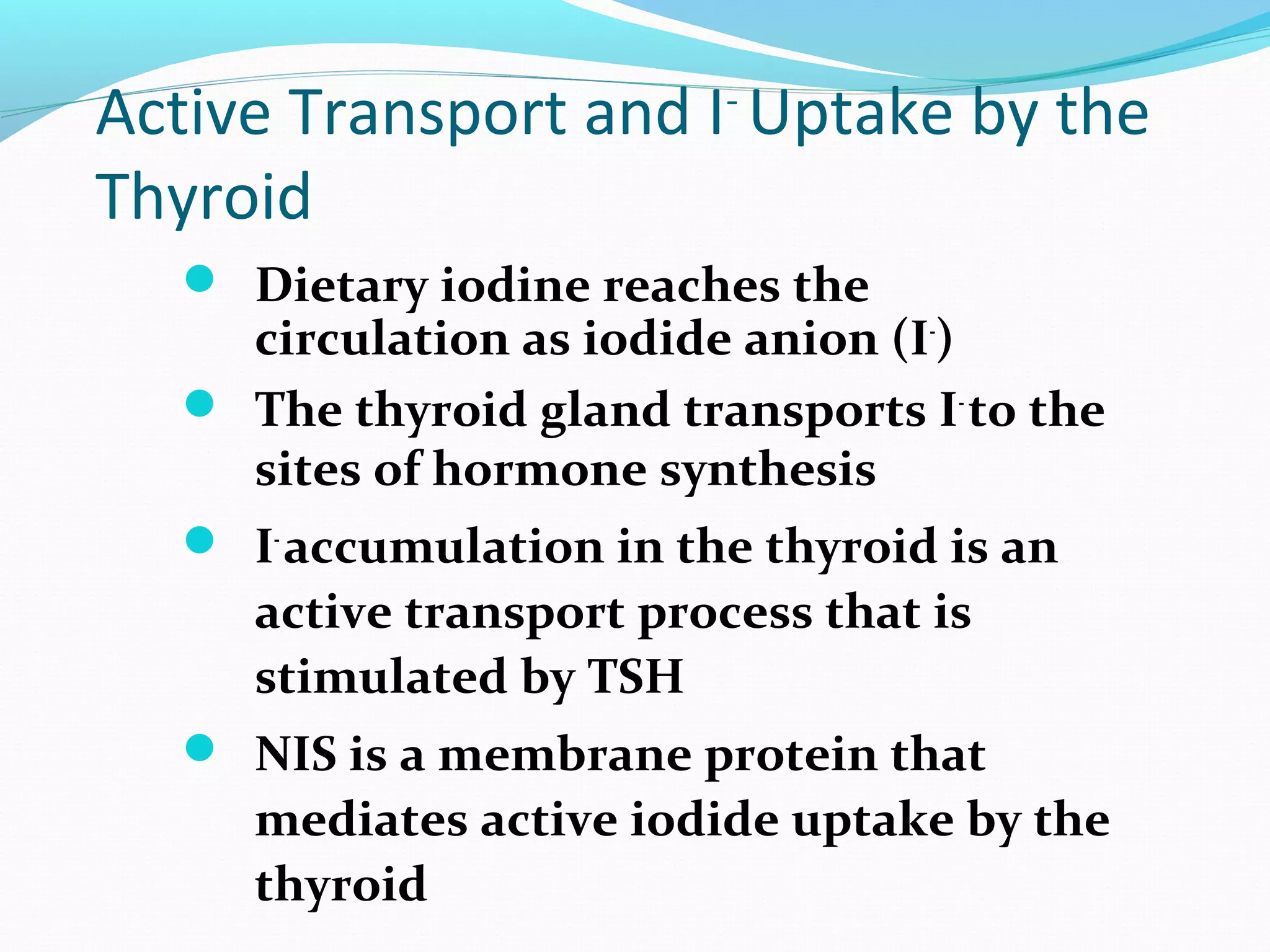 Thyroid physiology | PPT