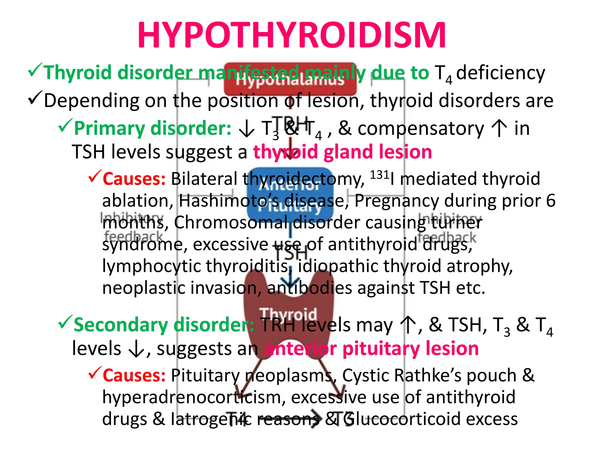 Thyroid Physiology_Dr.E. Muralinath_ Associate Professor | PPTX