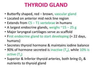 Thyroid Physiology_Dr.E. Muralinath_ Associate Professor | PPTX