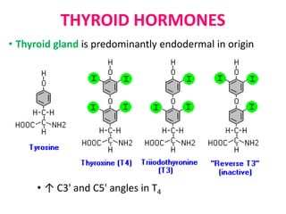 Thyroid Physiology_Dr.E. Muralinath_ Associate Professor | PPTX