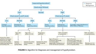 Thyroid hormones and their roles in clinical | PPTX