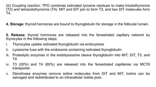 Thyroid hormones and their roles in clinical | PPT