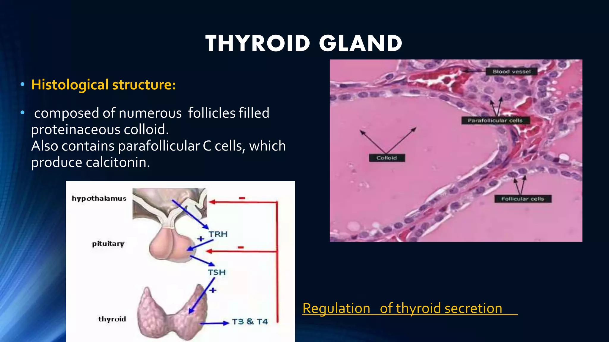 Thyroid ppt [autosaved] | PPTX