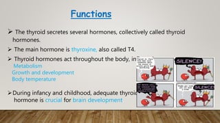 Thyroid ppt by me ramniwas aiims mangalagiri | PPTX