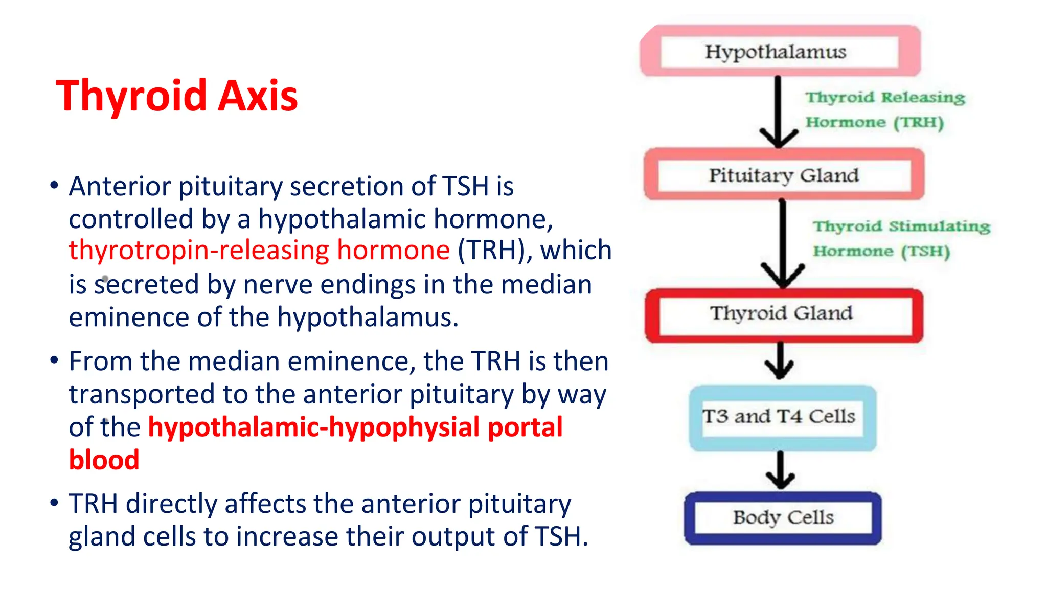 Thyroid ppt physio.pptx