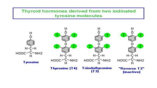 Thyroid ppt physio.pptx