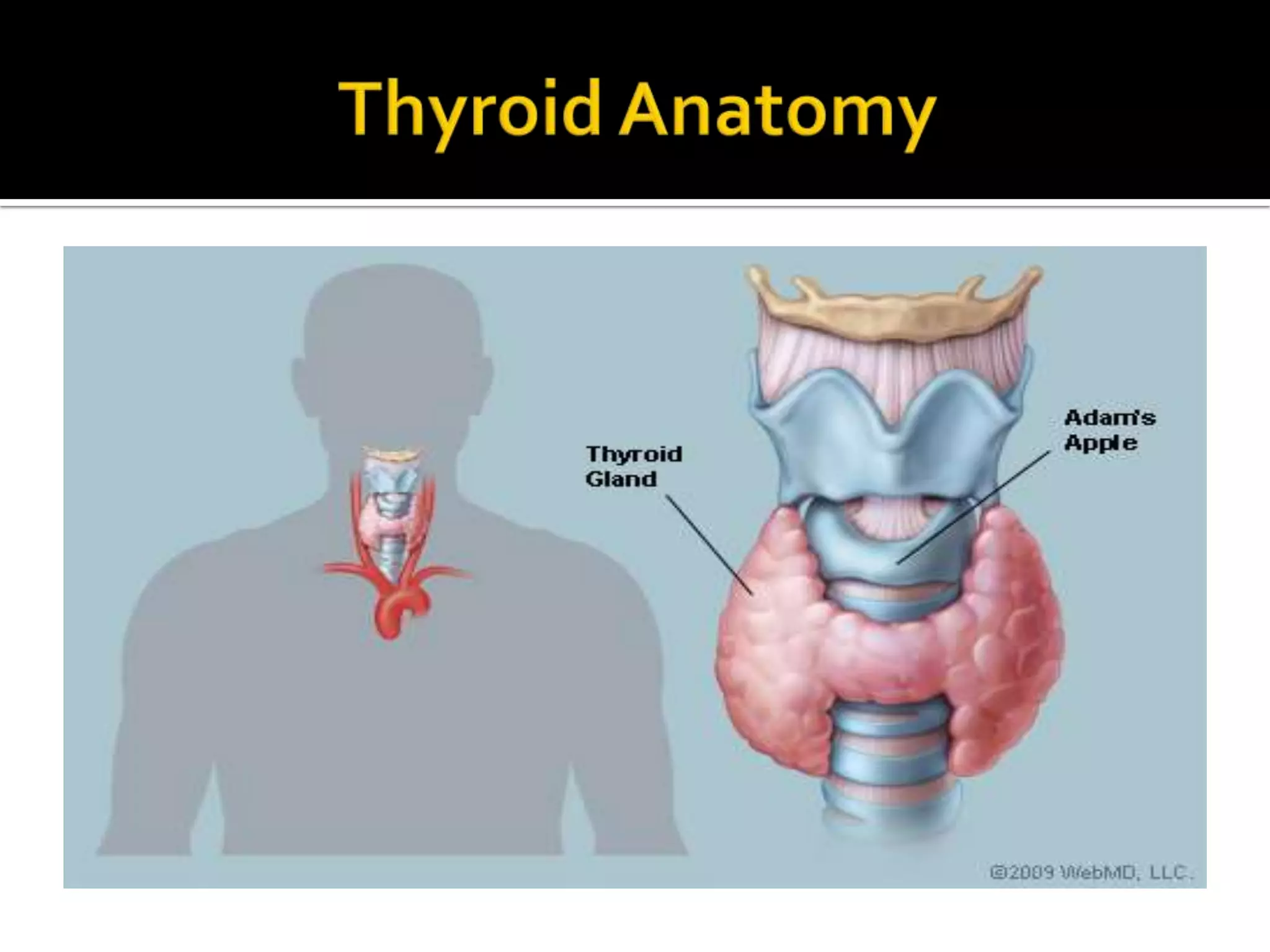 Thyroid presentation | PPTX