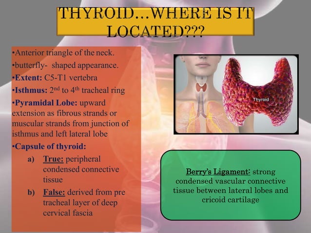 thyroid presentation.pptx