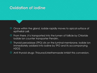 thyroidrana-17071912056ufrubgjjiiu19.pptx