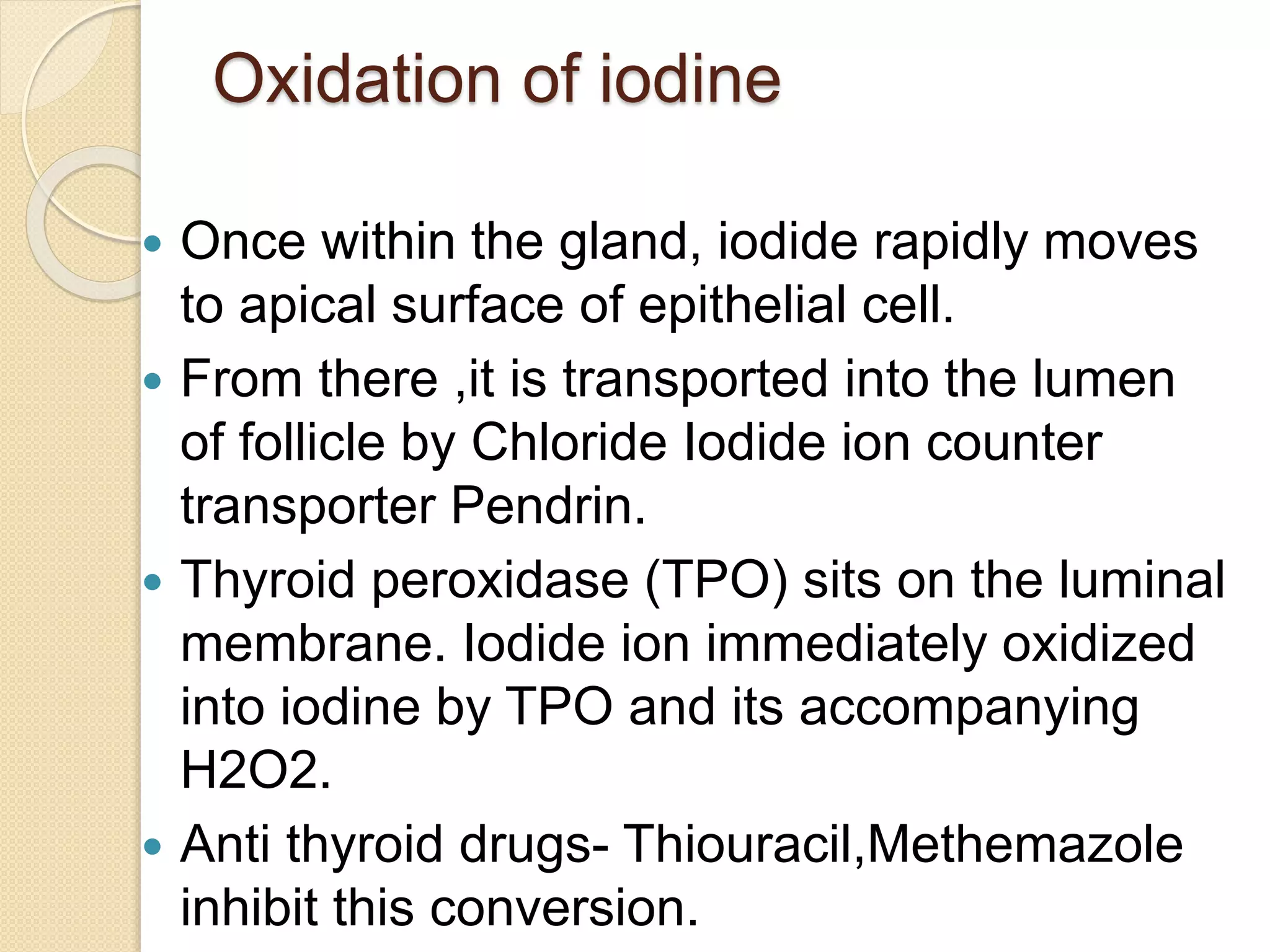 Thyroid Gland and Disease of Thyroid Gland | PPTX