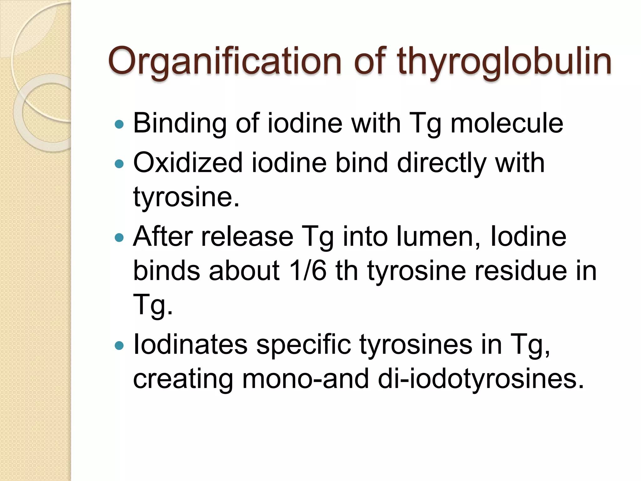 Thyroid Gland and Disease of Thyroid Gland | PPTX