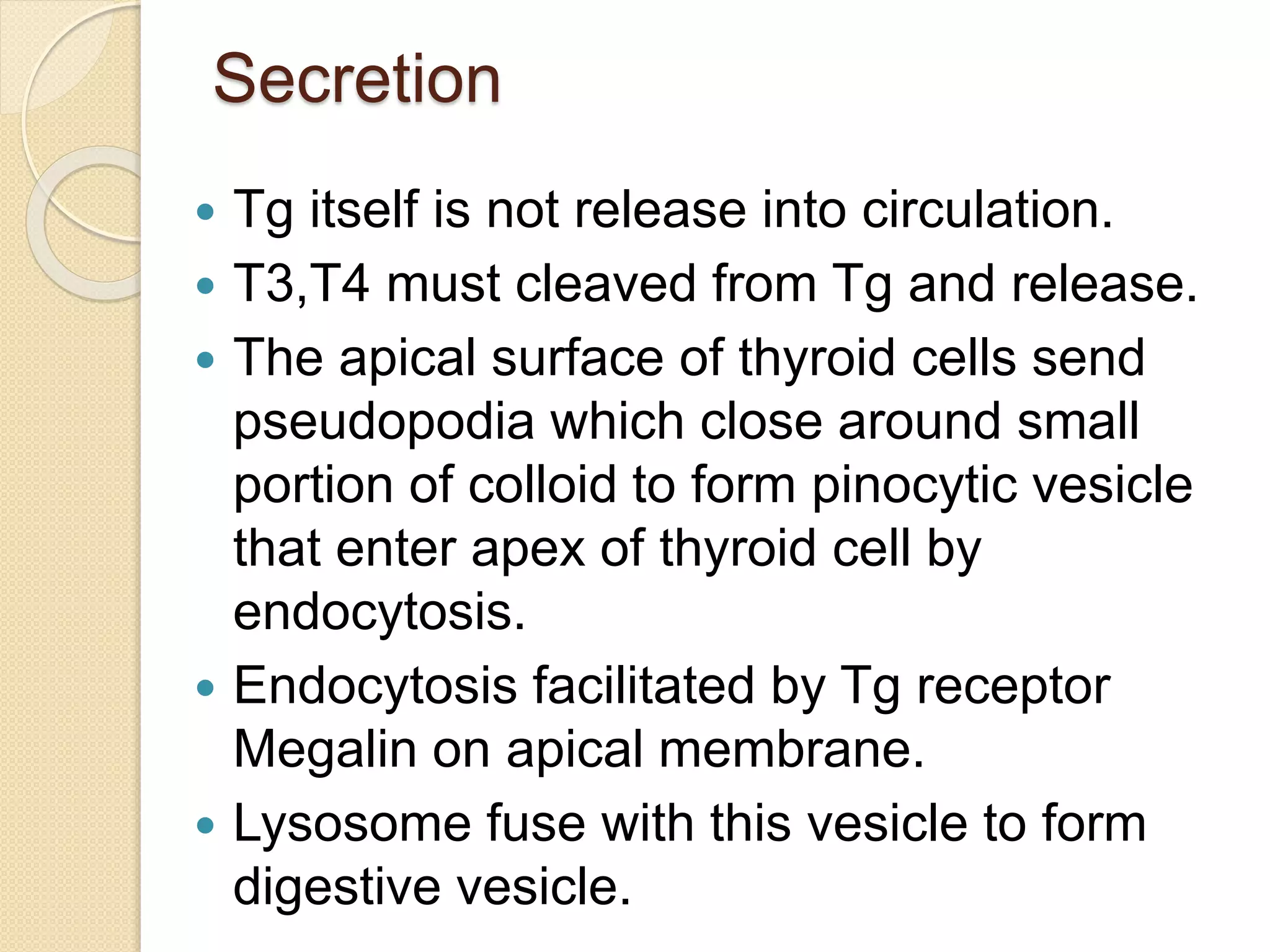Thyroid Gland and Disease of Thyroid Gland | PPTX
