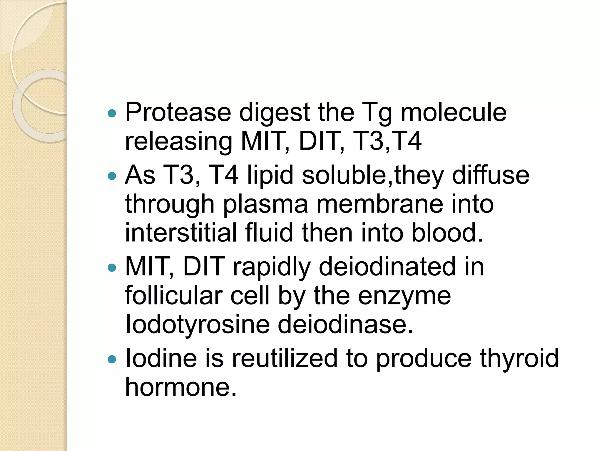 Thyroid Gland and Disease of Thyroid Gland | PPTX
