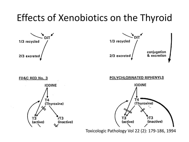 Neoplastic and Non-neoplastic Rodent Thyroid Lesions and Their ...