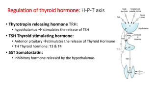 Anti-Thyroid | PPTX