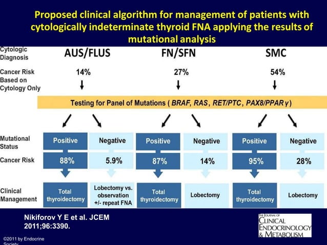 Thyroid Slides 2 Pptx