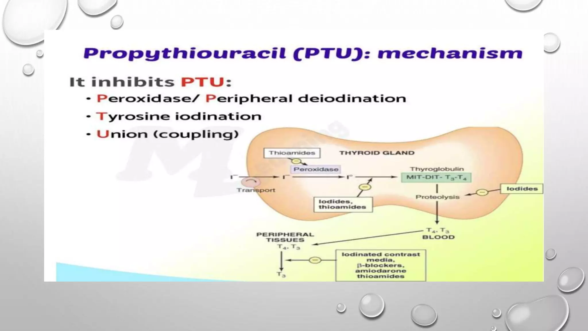Thyroid storm | PPTX