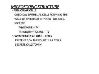 thyroidsurgicalanatomy-161121065627.pptx