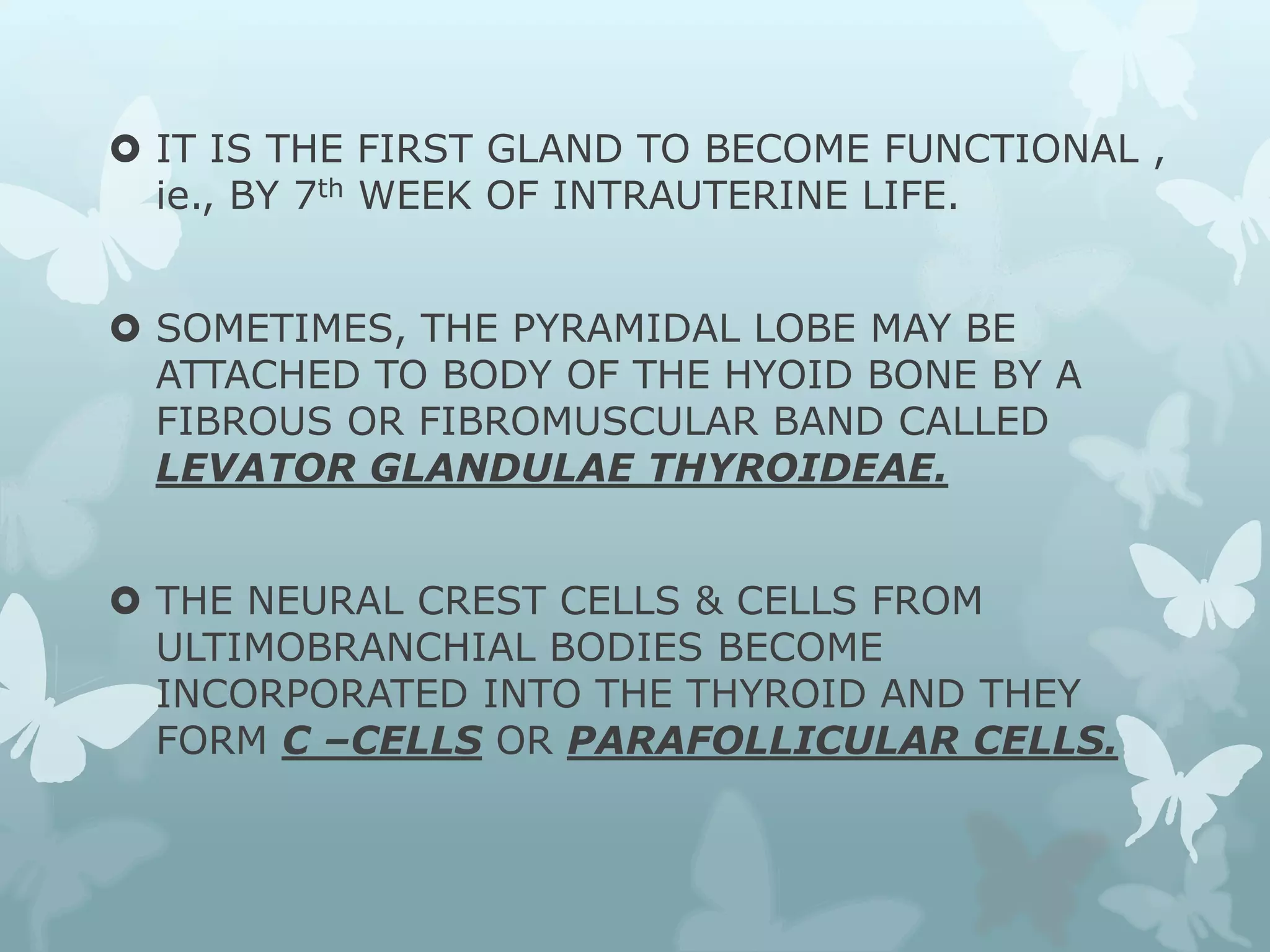 Thyroid surgical anatomy | PPTX