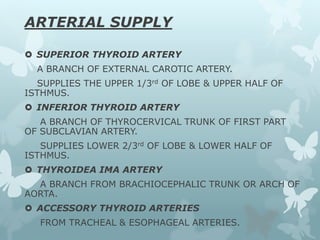 Thyroid surgical anatomy | PPTX