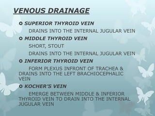 Thyroid surgical anatomy | PPTX