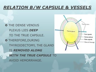 Thyroid surgical anatomy | PPTX