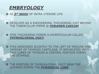 Thyroid surgical anatomy | PPTX