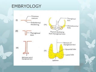 Thyroid surgical anatomy | PPTX