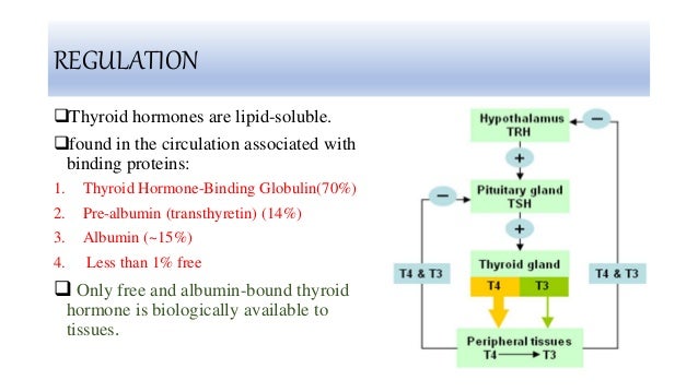 Thyroid t4,t3,tsh
