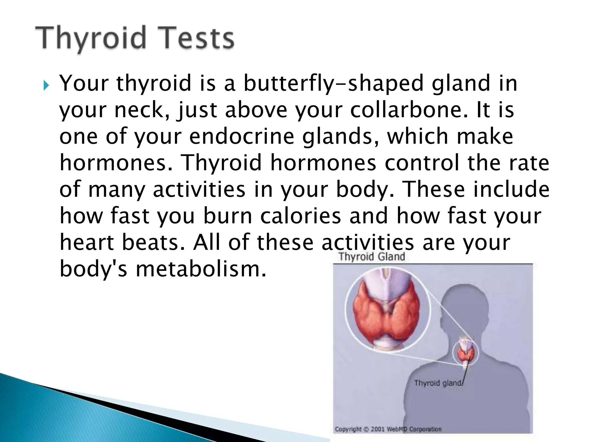 Thyroid testing | PPTX