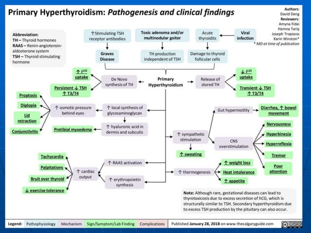 thyrotoxicosis , causes, diagnosis and treatment | PPTX | Thyroid ...