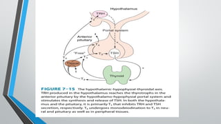 Thyrotoxicosis high yield topic 1.pptx
