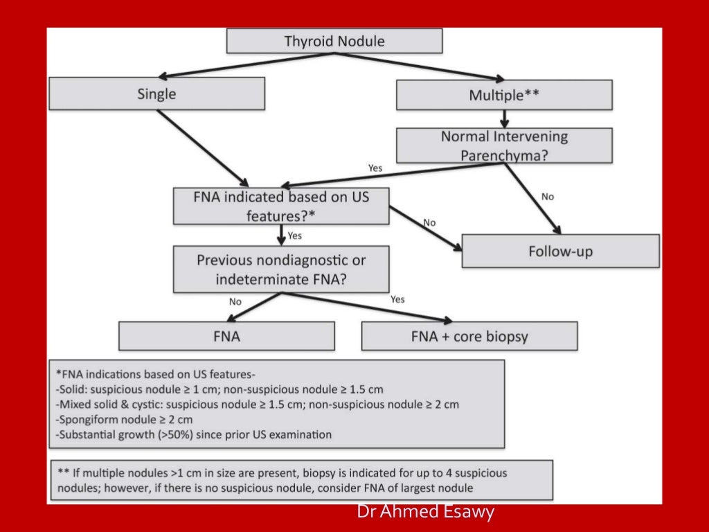 TIRADS (thyroid nodule imaging reporting and data system) Dr Ahmed E…