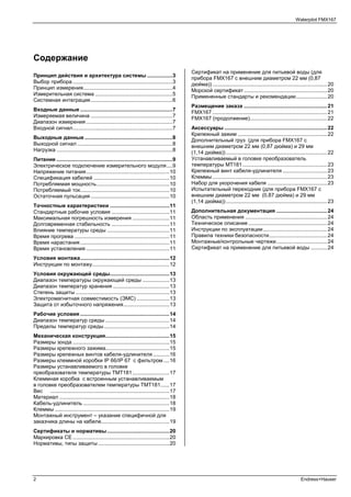 Waterpilot FMX167 Endress+Hauser | PDF