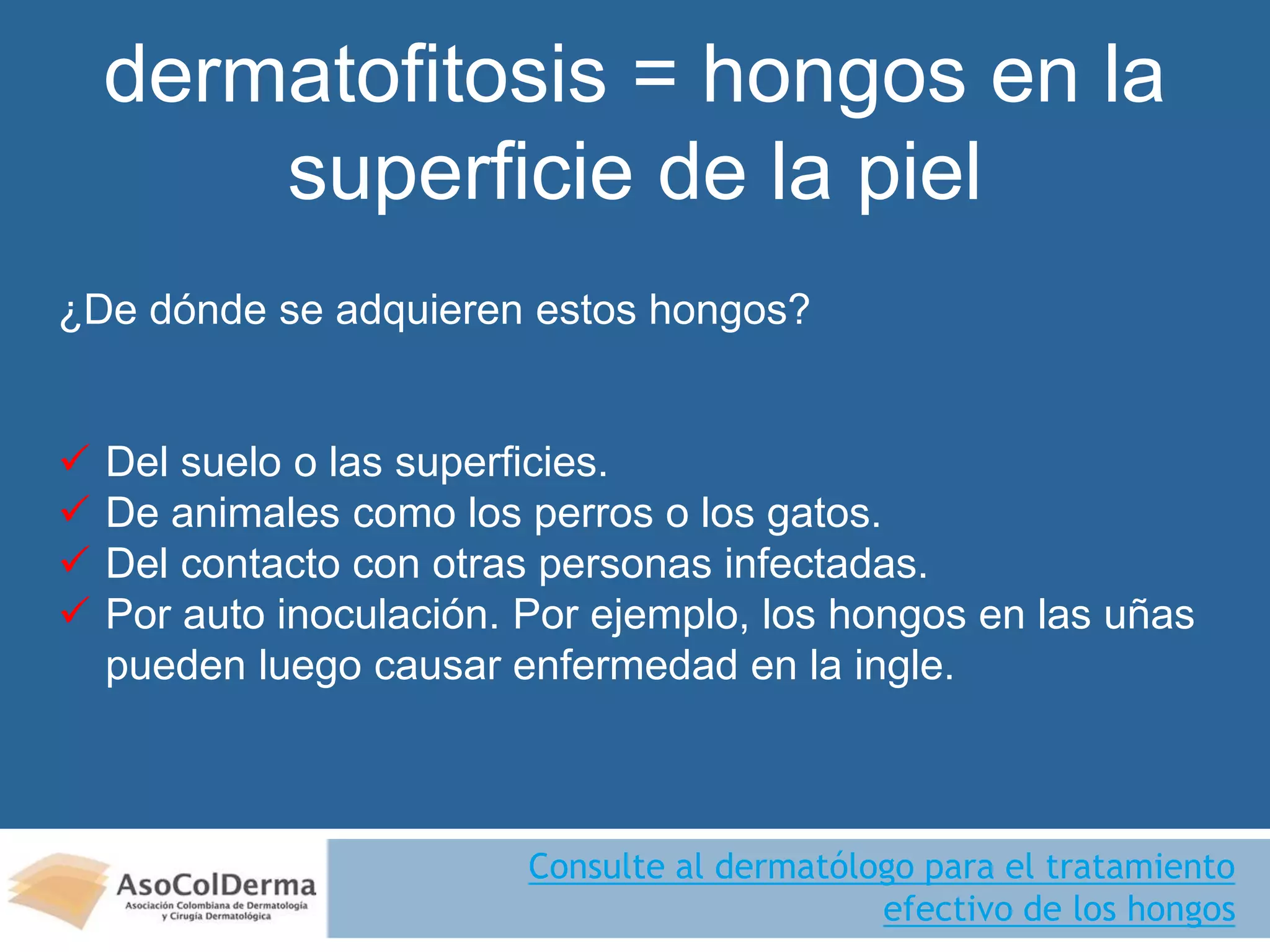 Dermatofitosis: hongos en la superficie de la piel. | PPTX