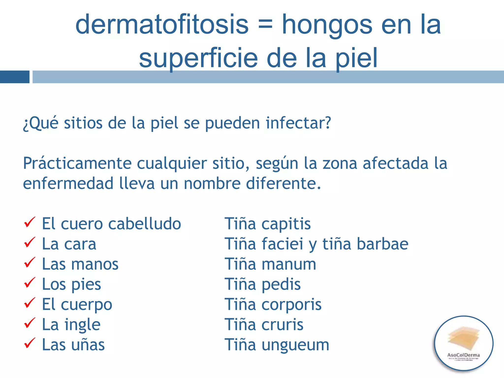 Dermatofitosis: hongos en la superficie de la piel. | PPT