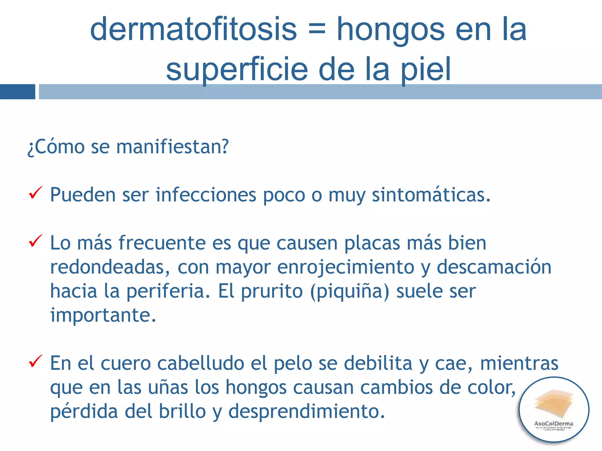 Dermatofitosis: hongos en la superficie de la piel. | PPT