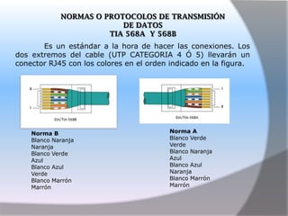 Tia 568 a y 568b | PPTX